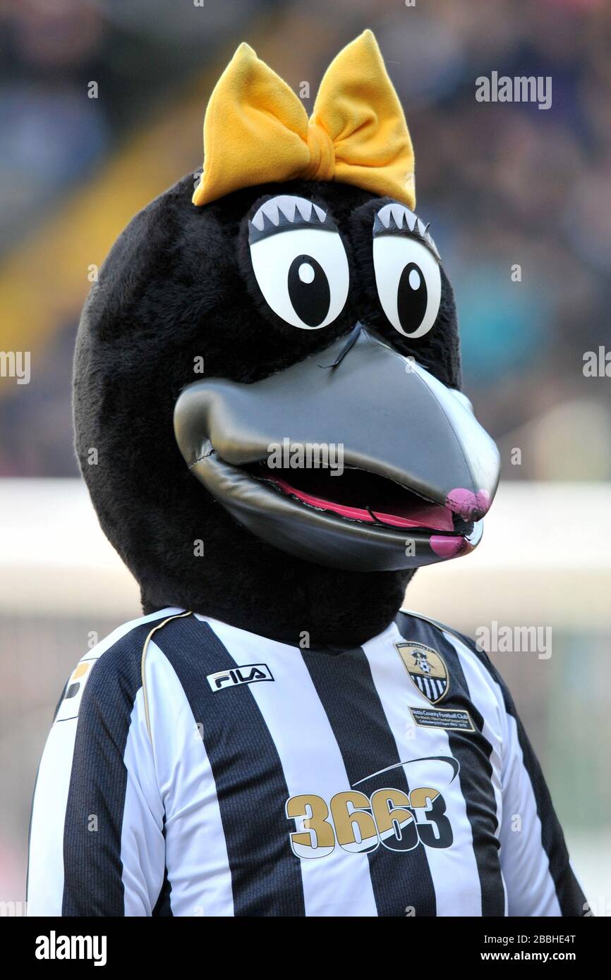 Notts County's mascot, Mrs. Magpie Stock Photo - Alamy