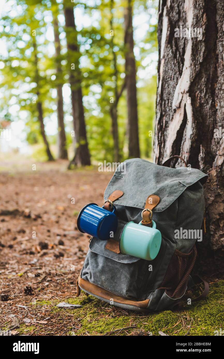 hiking backpack near tree in forest Stock Photo - Alamy