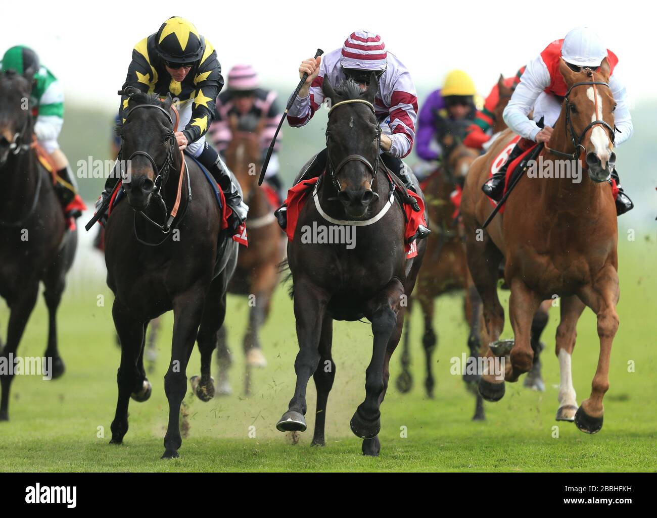 Ancient Cross ridden by Paul Milrennan (purple) wins The Betfred Mobile ...