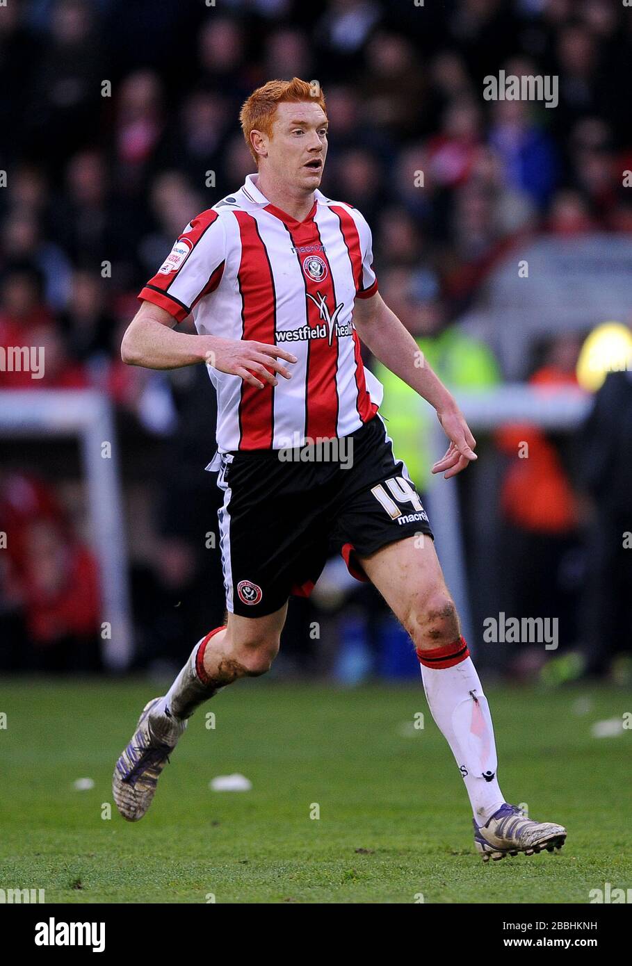 Dave kitson hi-res stock photography and images - Alamy