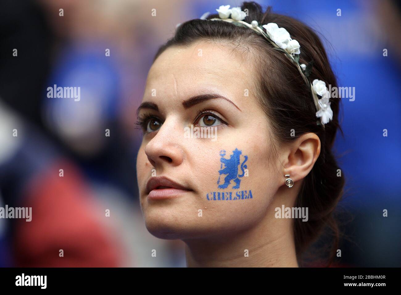 Chelsea fan in the stands hi-res stock photography and images - Alamy