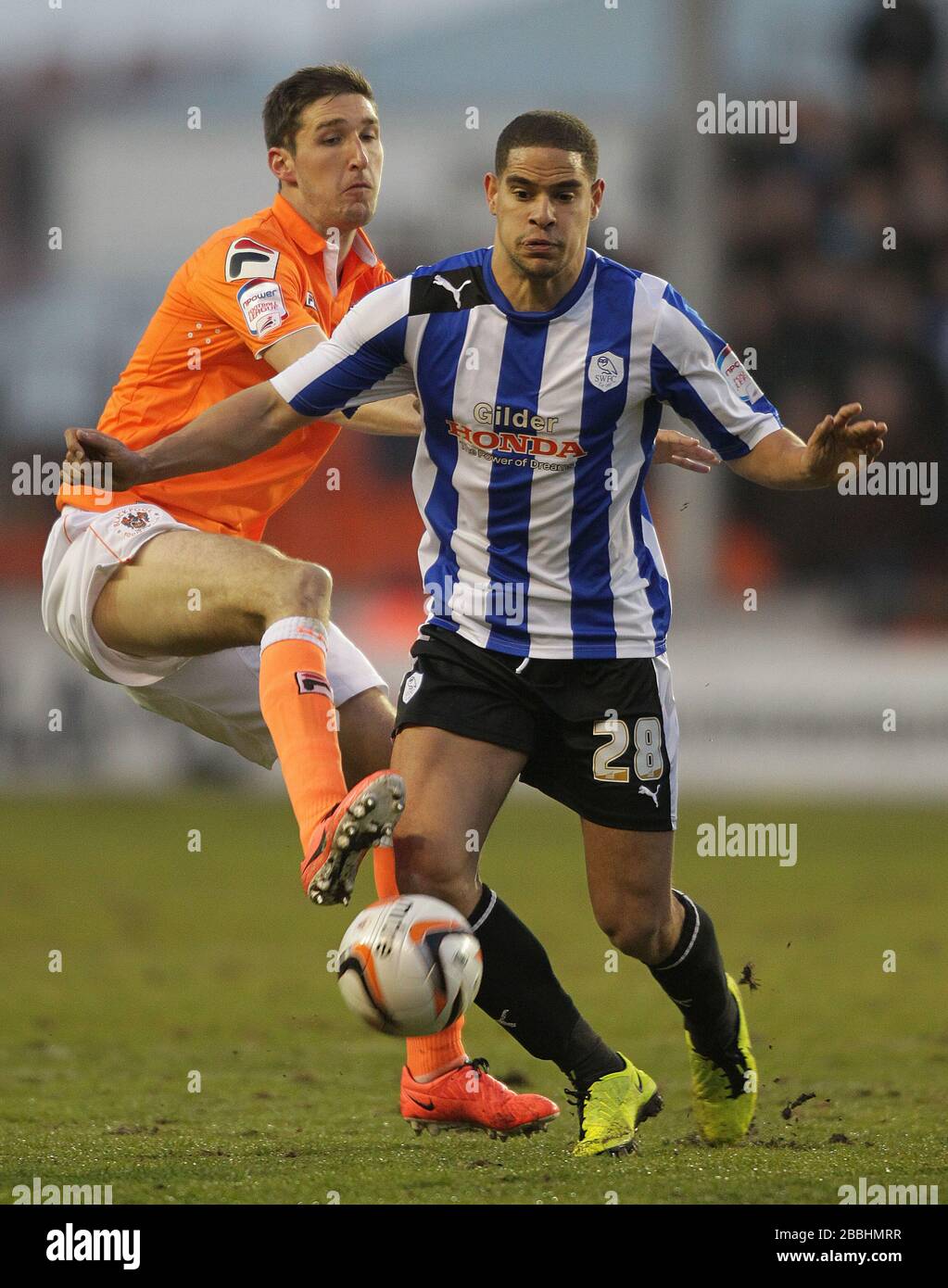 Blackpool's Chris Basham and Sheffield Wednesday's Giles Coke Stock ...