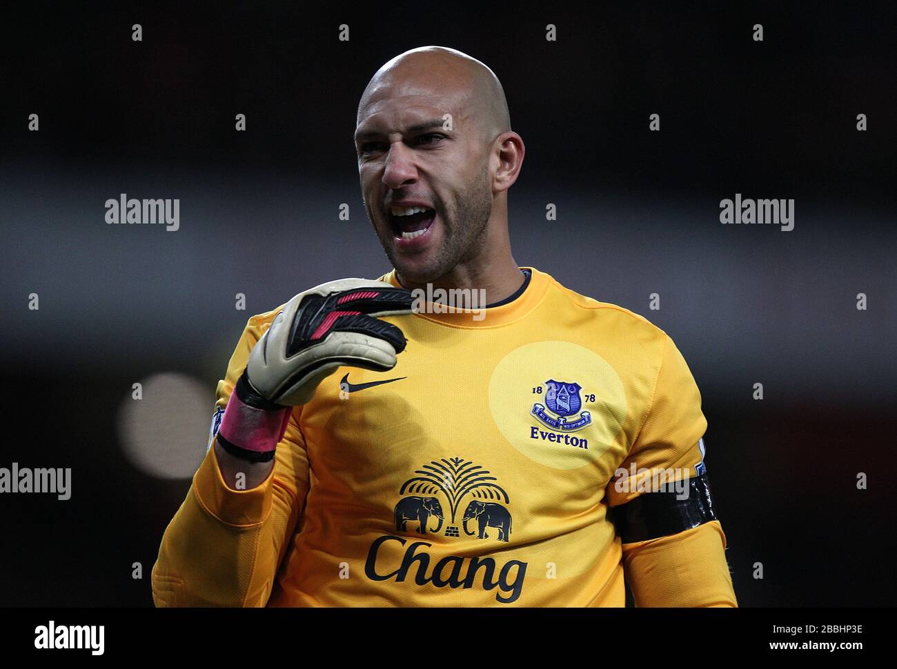Tim Howard, Everton Stock Photo - Alamy