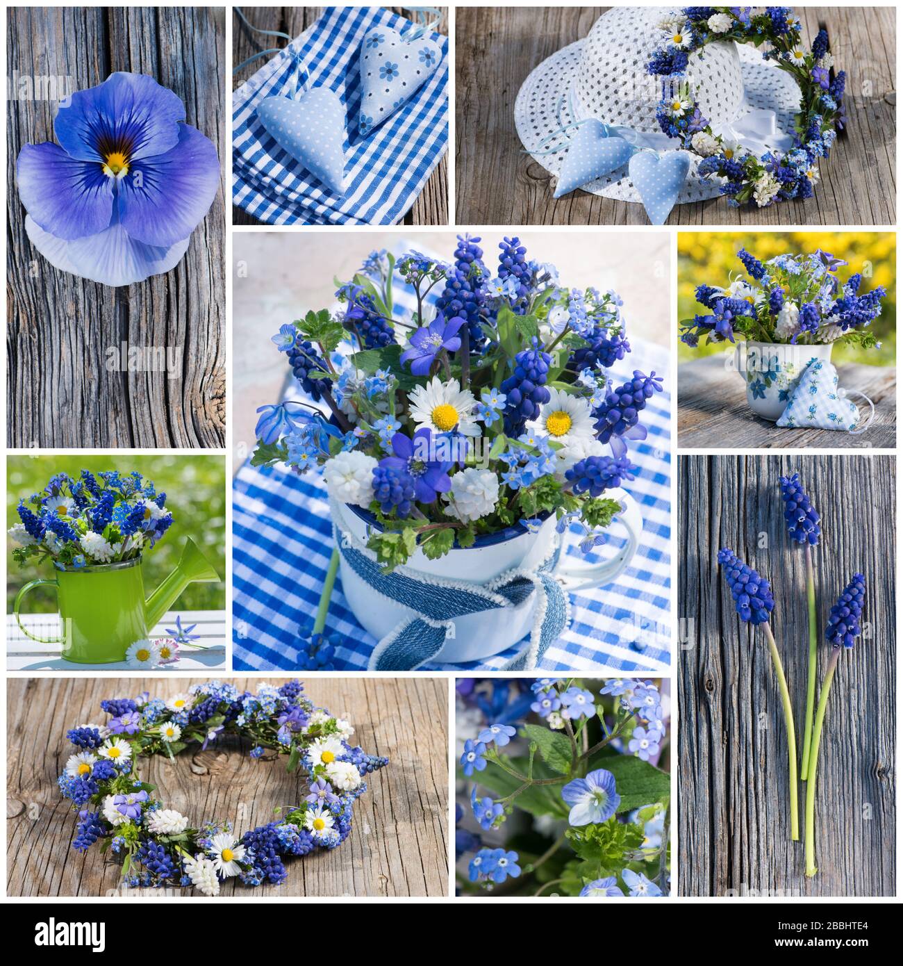 Collage of colorful spring flowers Stock Photo - Alamy