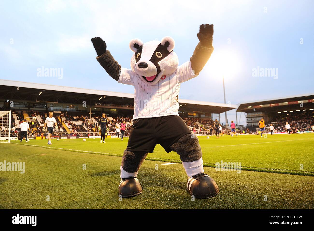 Billy the Badger, Fulham mascot Stock Photo - Alamy