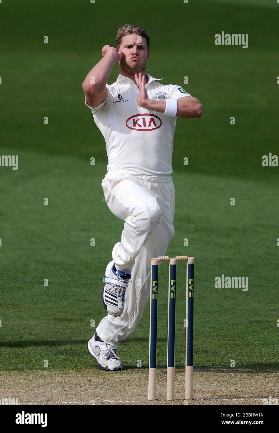 Stuart Meaker, Surrey Stock Photo - Alamy