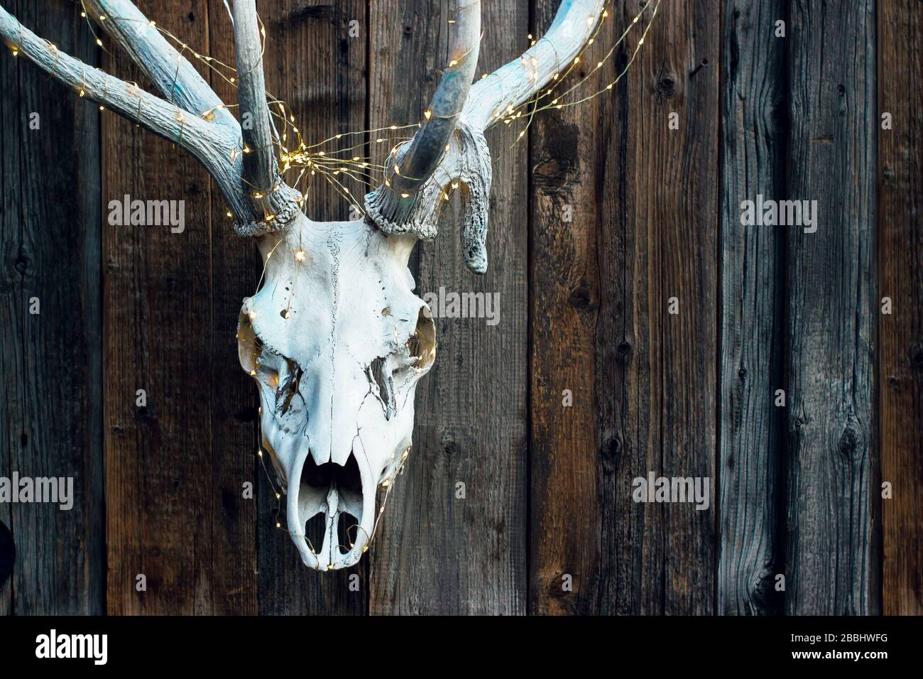 evil elegant skull of a deer with a garland for Halloween on wooden ...