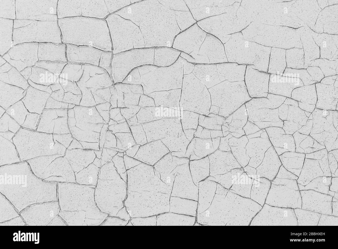 Grey rustic texture background with craquelure. Monochrome. Black and ...
