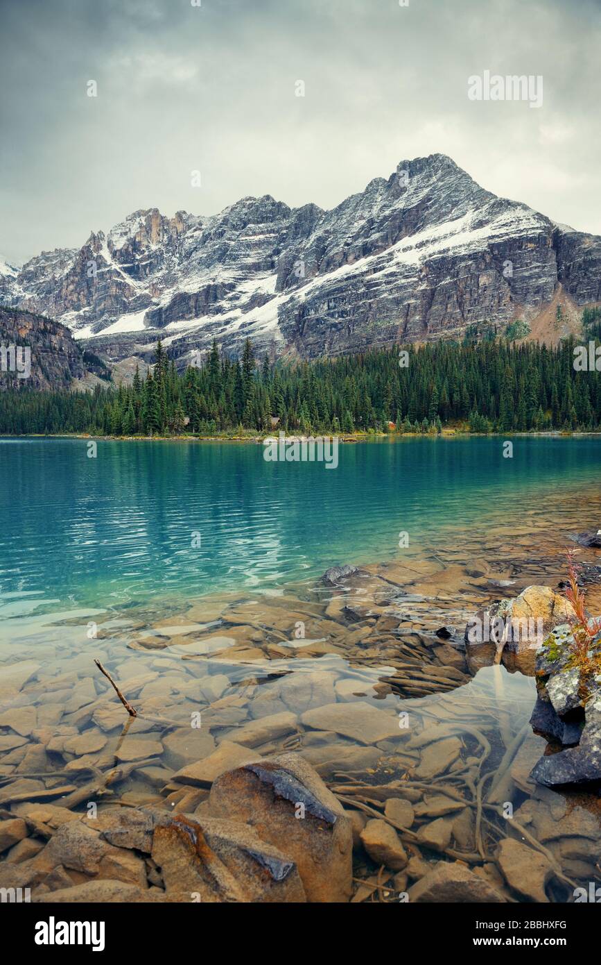 Lake O'hara, Yohu National Park, Canada Stock Photo - Alamy