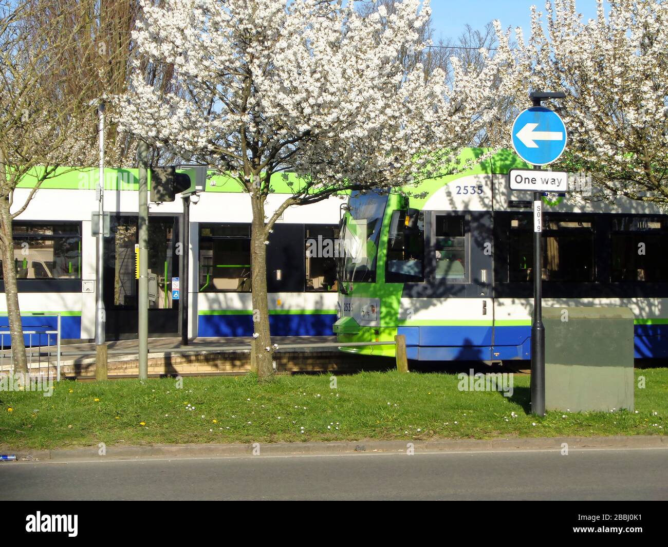 Tram at New Addington tram terminus in the spring showing ornamental ...