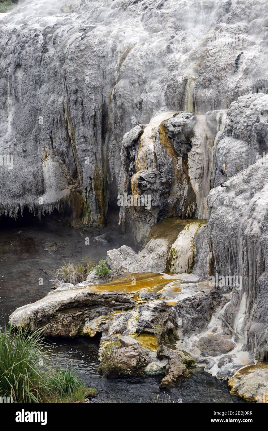 Rotorua's Geysers, sulphur and bubbling mud pools in New Zealand Stock ...