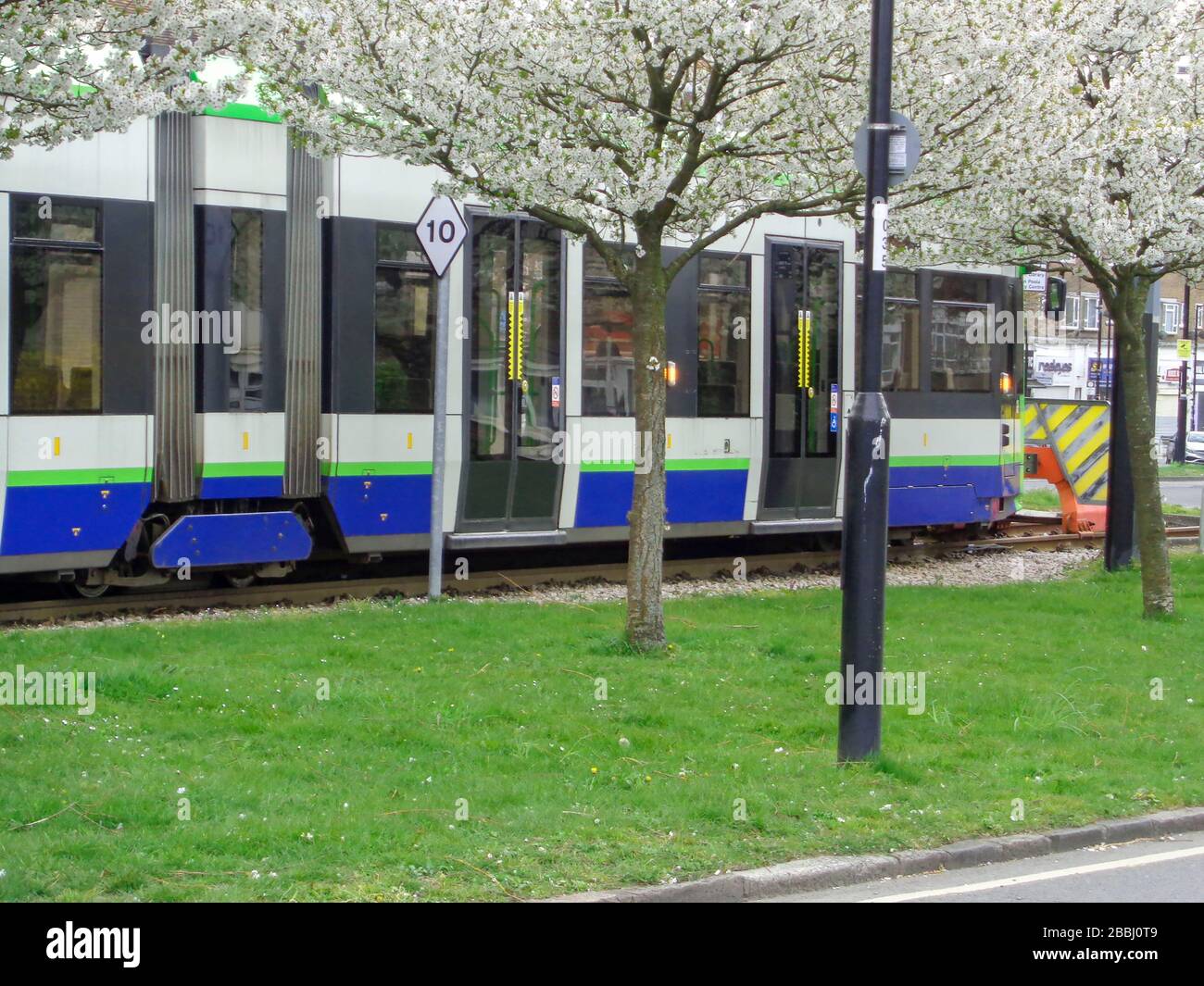 Tram at New Addington tram terminus in the spring showing ornamental ...