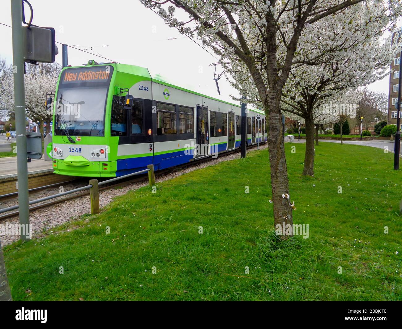 Tram at New Addington tram terminus in the spring showing ornamental ...