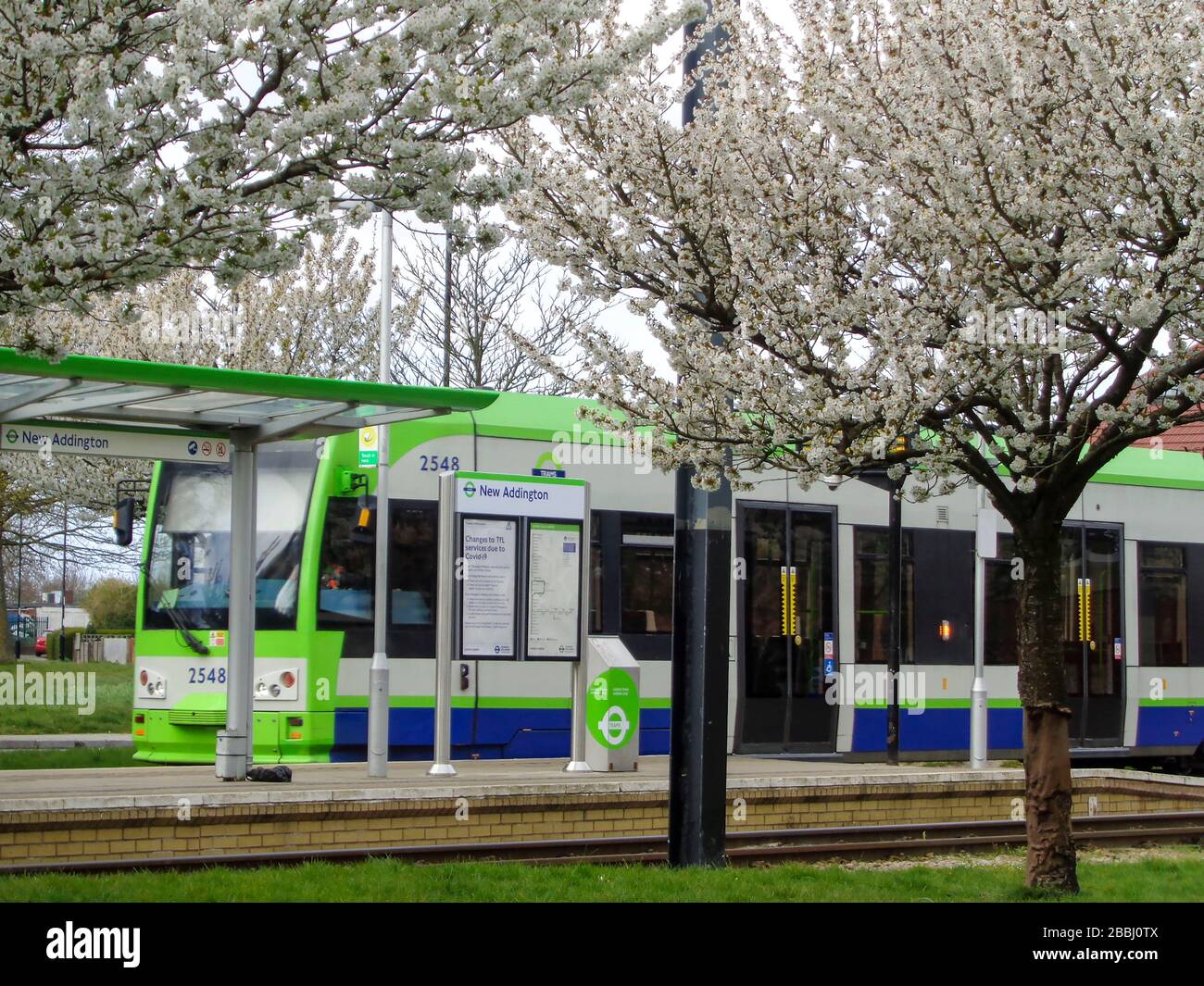 Tram at New Addington tram terminus in the spring showing ornamental ...