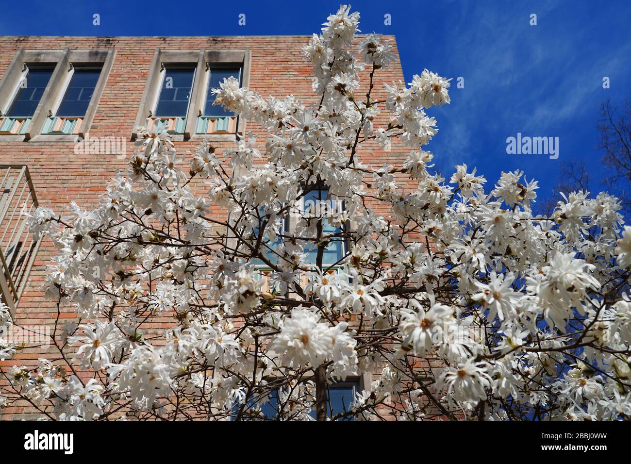 Princeton university campus in spring hi-res stock photography and ...