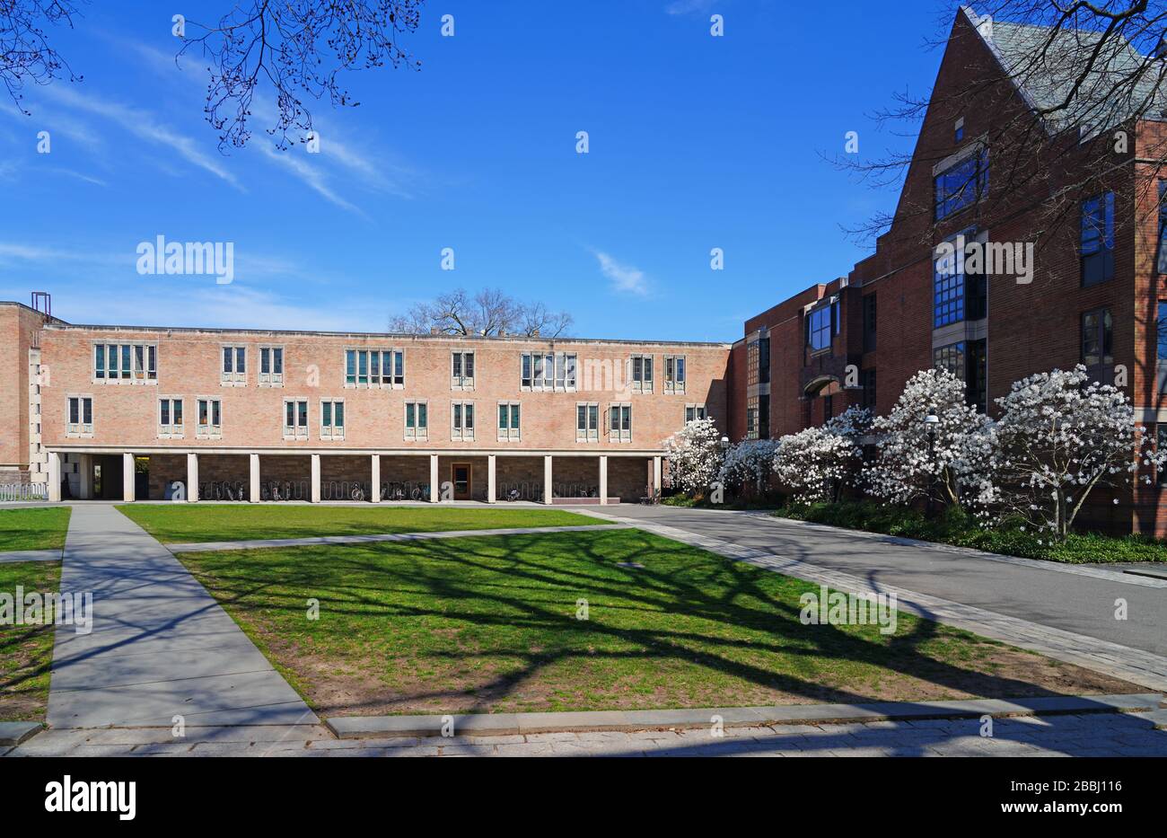 Wilson College Princeton Dorms