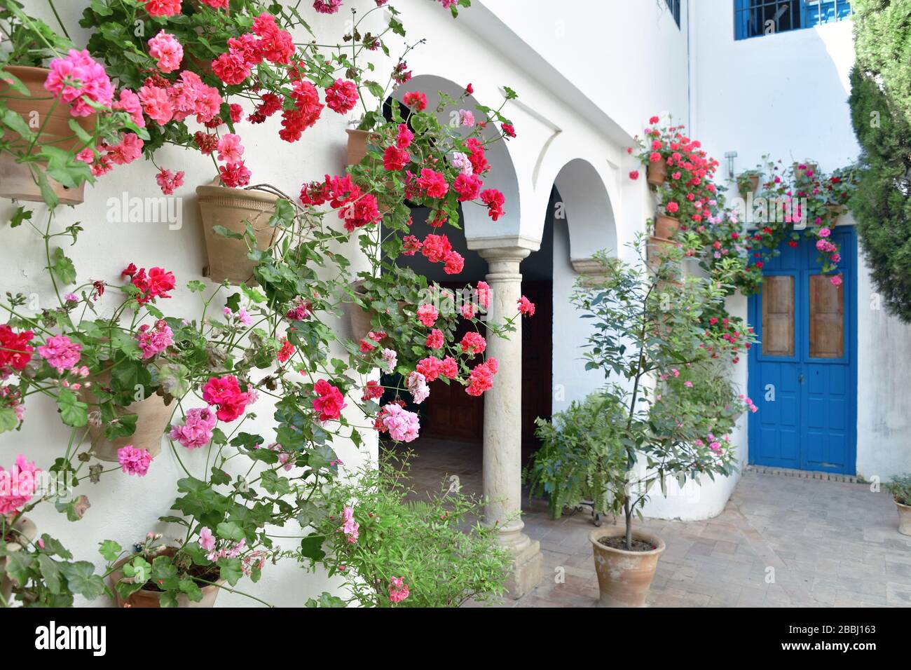 Beautiful flower decoration of the resident house in Cordoba, Spain ...