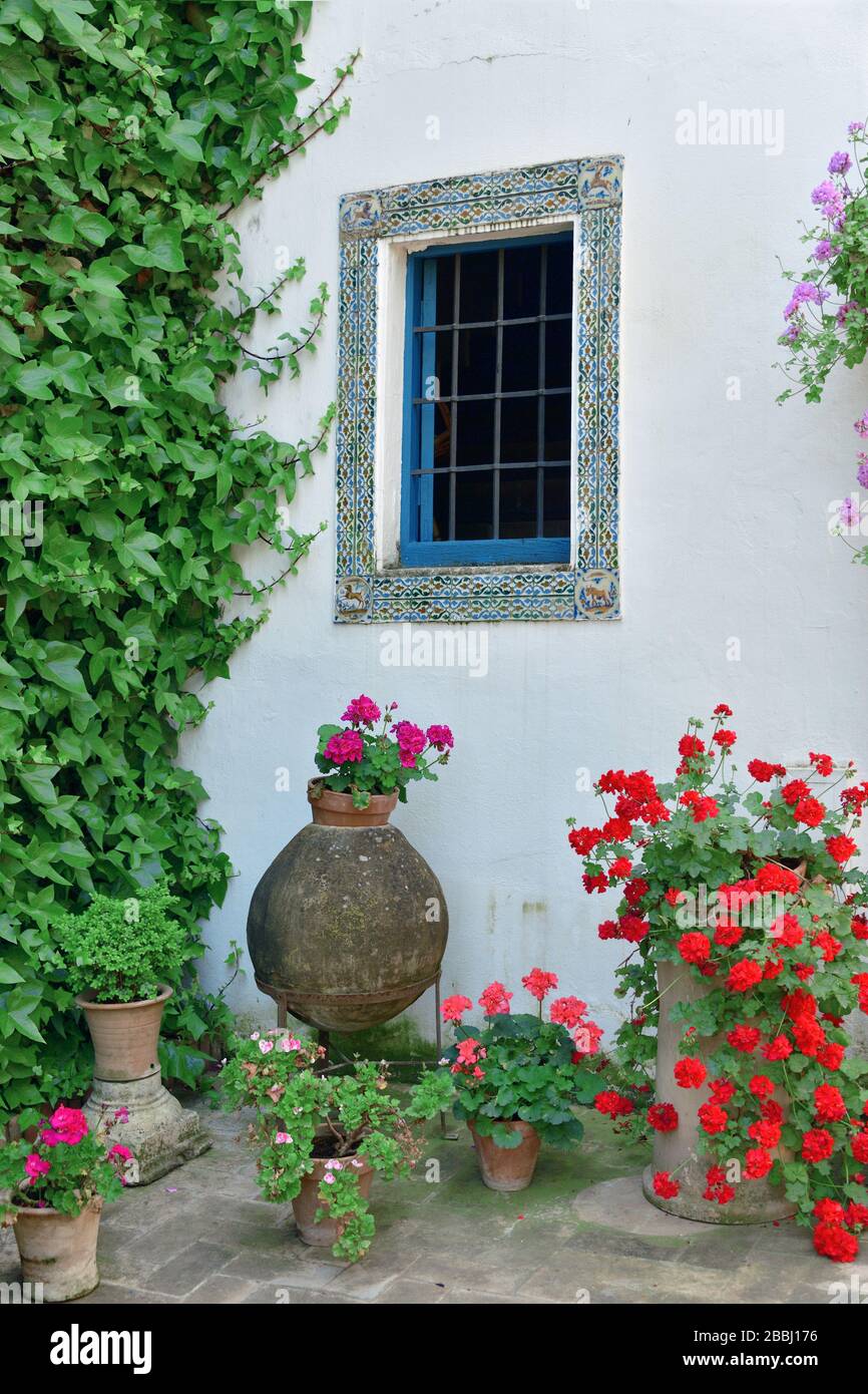 Beautiful flower decoration of the resident house in Cordoba, Spain ...