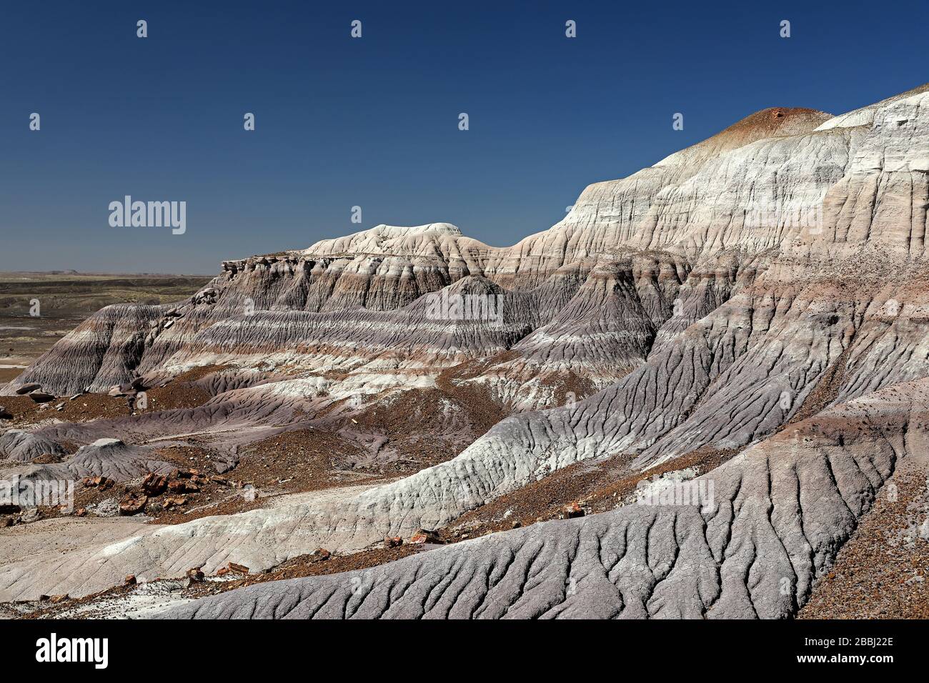 Beautiful Multi-colored Layers of the Painted Desert (Petrified Forest ...