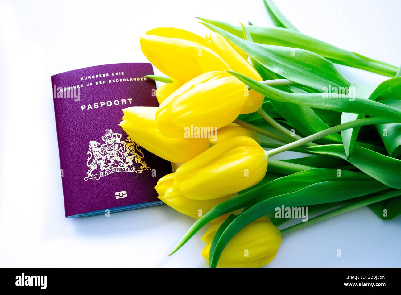 Top view European biometric passport of Netherlands. Official passport ...