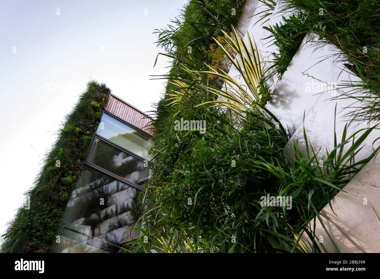 Green vertical living wall with root zone waste water treatment ...