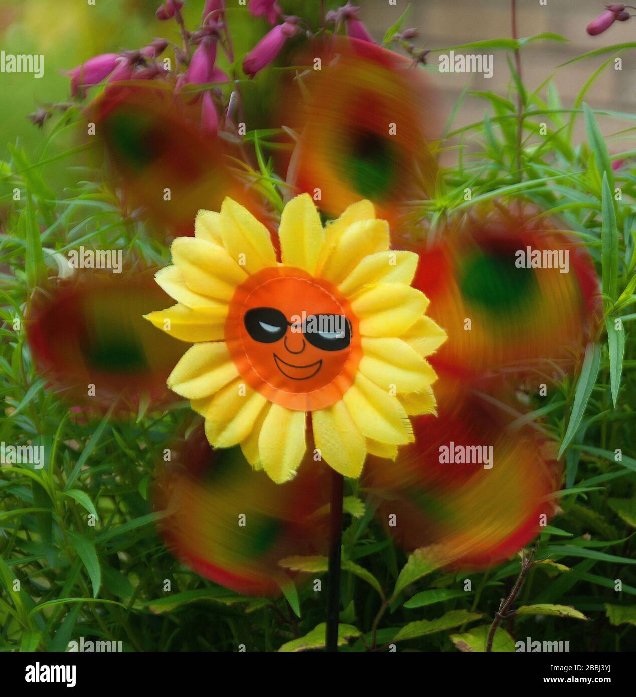 Whirring sunflower windmill hi-res stock photography and images - Alamy