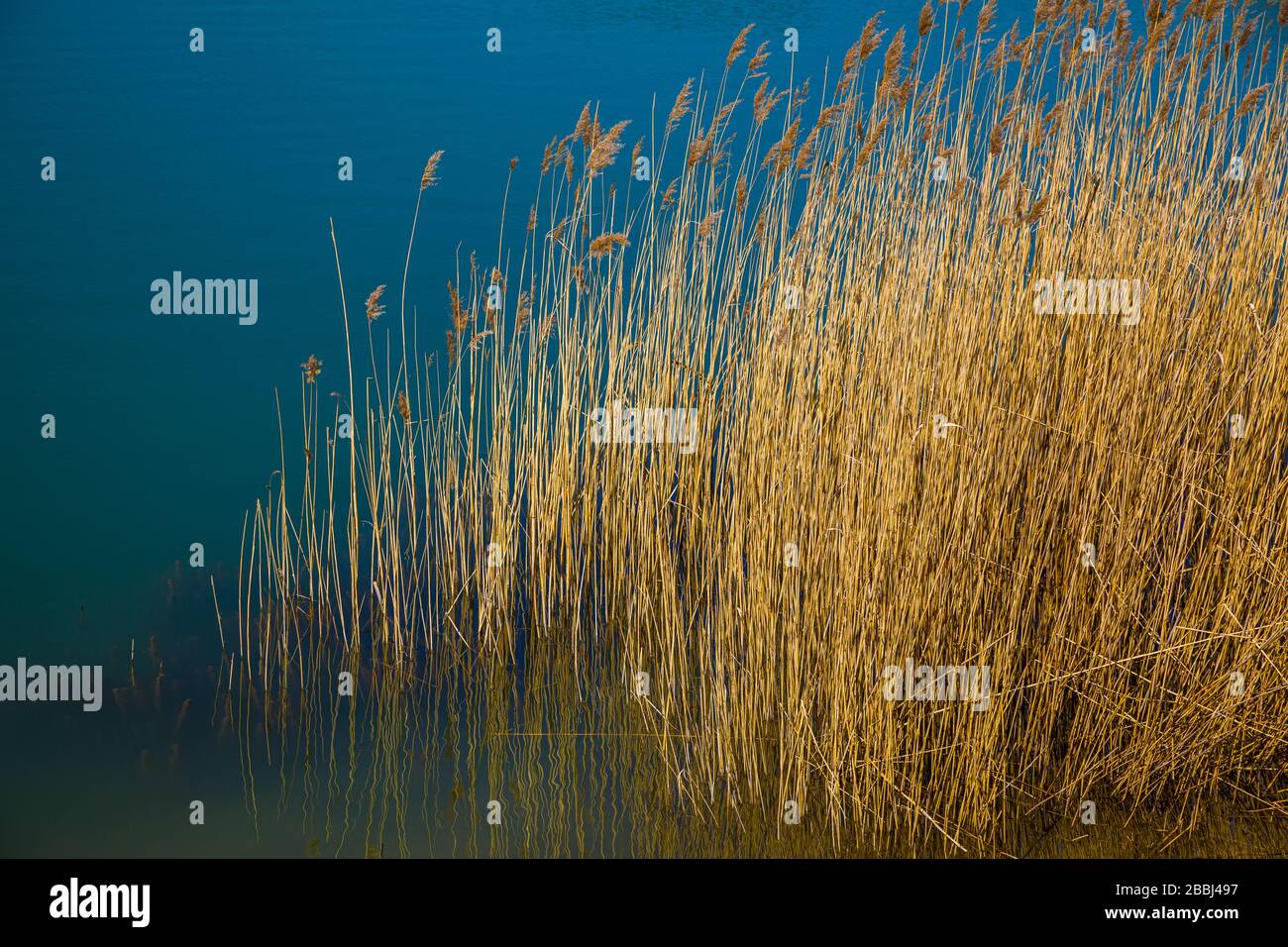 Lake near village Puste Ulany, Slovakia Stock Photo - Alamy