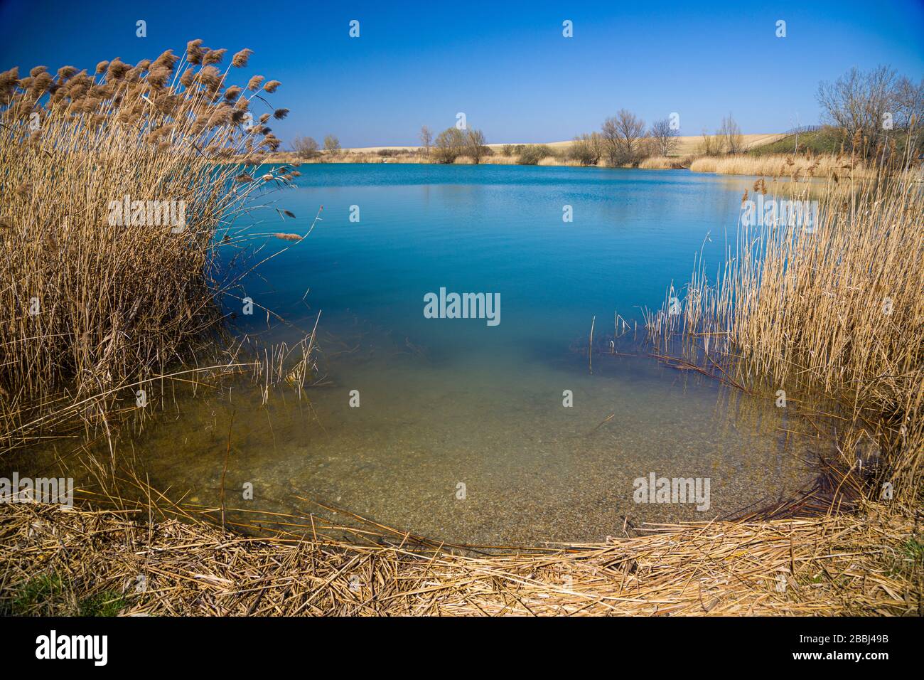 Lake near village Puste Ulany, Slovakia Stock Photo - Alamy