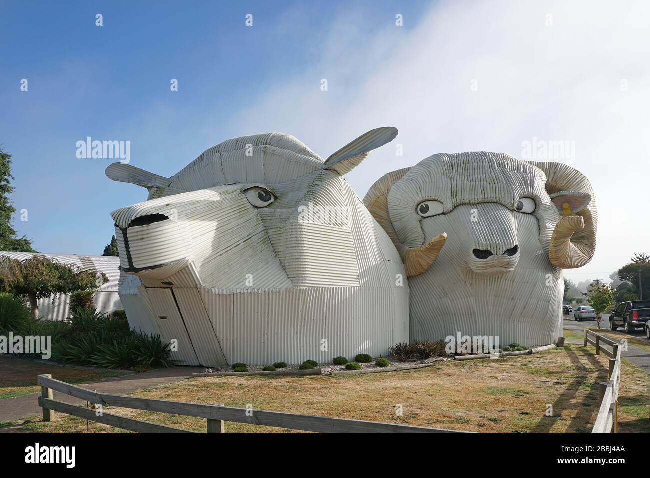 Metal sheet sheep hi-res stock photography and images - Alamy