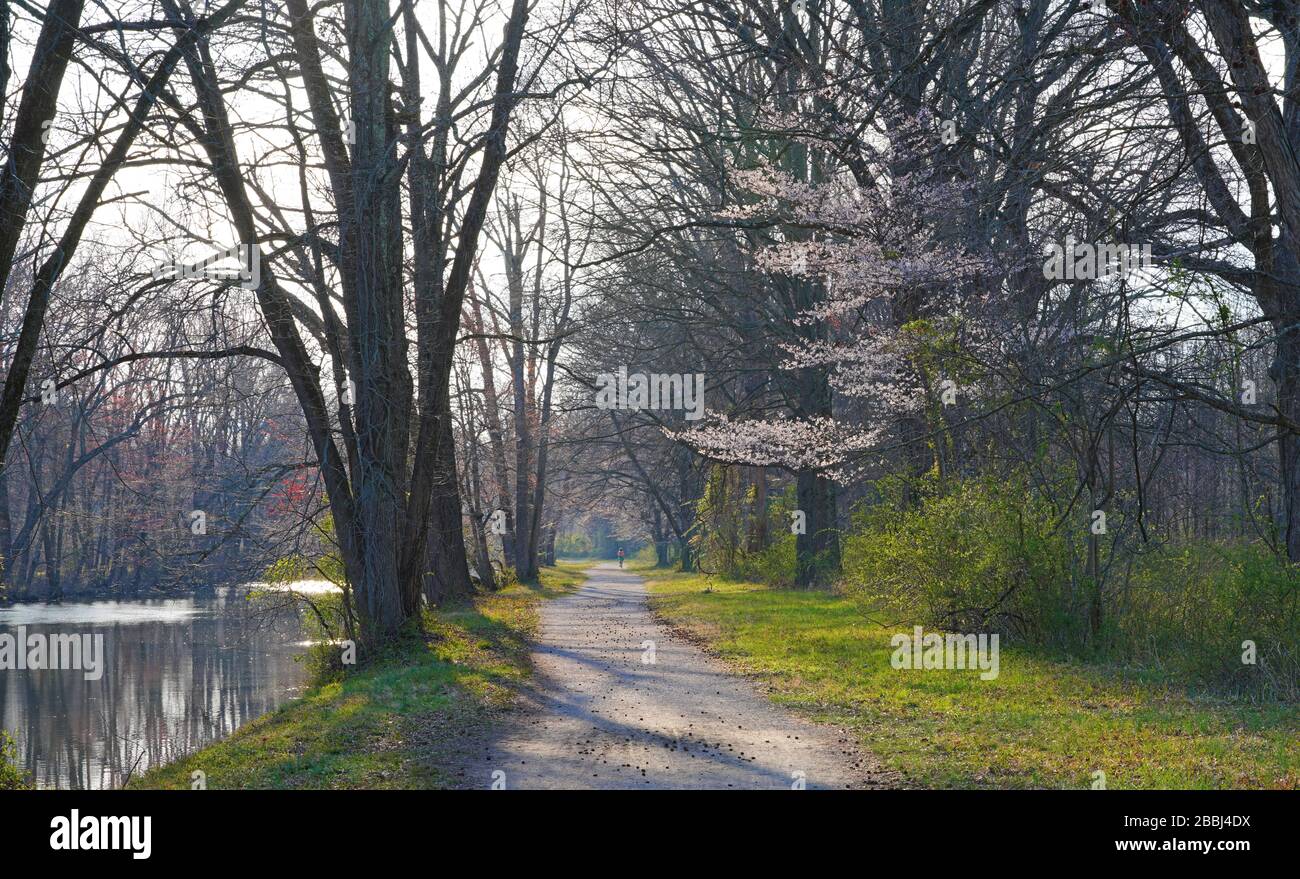The towpath along the Delaware-Raritan canal in Princeton, New Jersey ...
