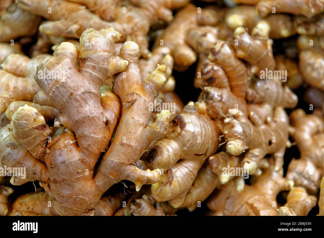 Thai market galangal hi-res stock photography and images - Alamy