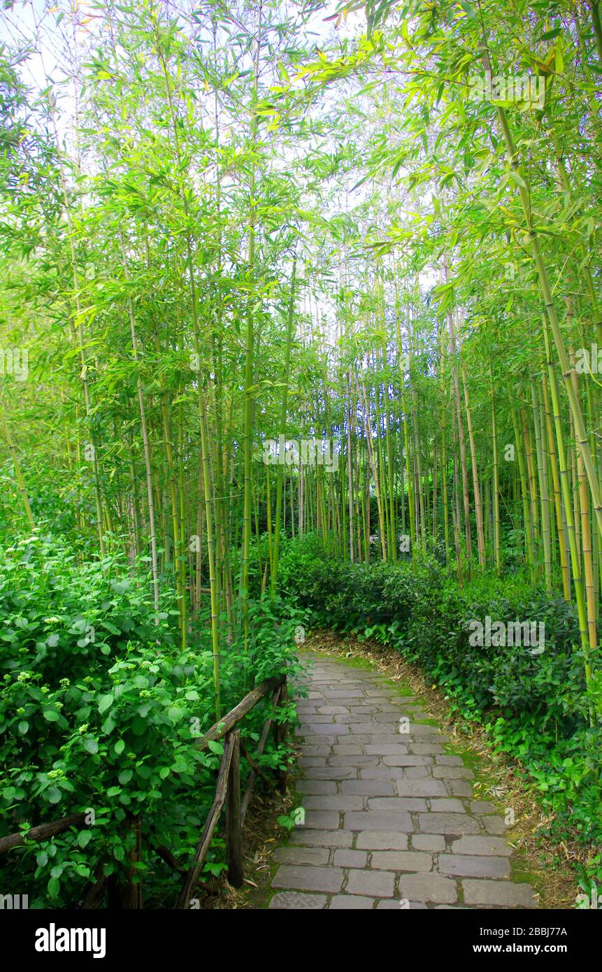 Call to nature hi-res stock photography and images - Alamy