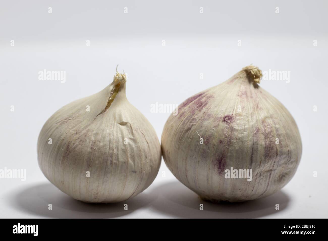 Single bulb garlic solo garlic hi-res stock photography and images - Alamy