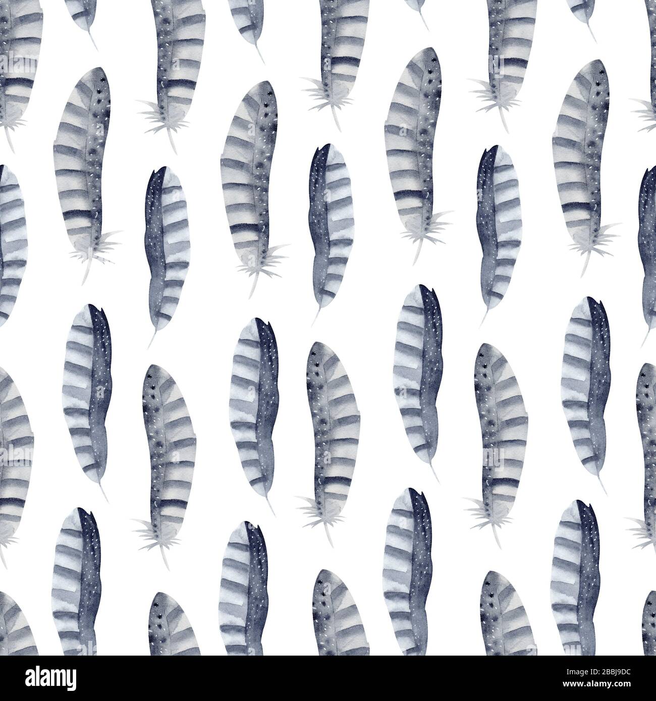 White Feathers Tumblr Backgrounds