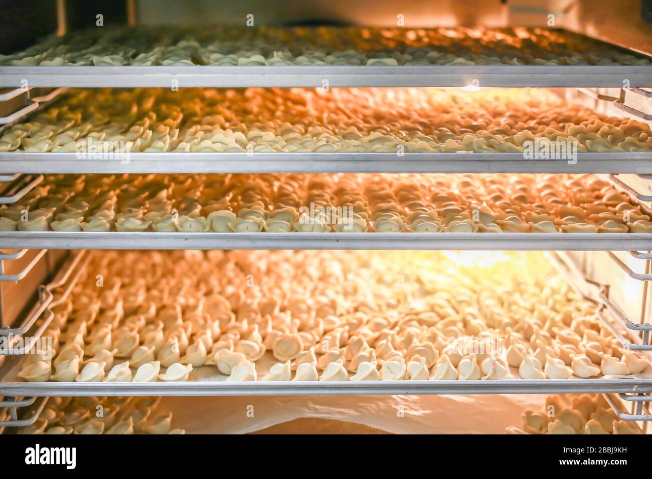 Many frozen dumplings in open manufacturing refrigerator. Frozen ...