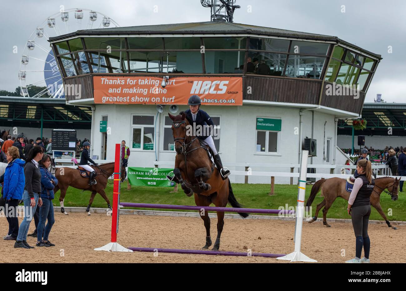 Show jumper hi-res stock photography and images - Alamy