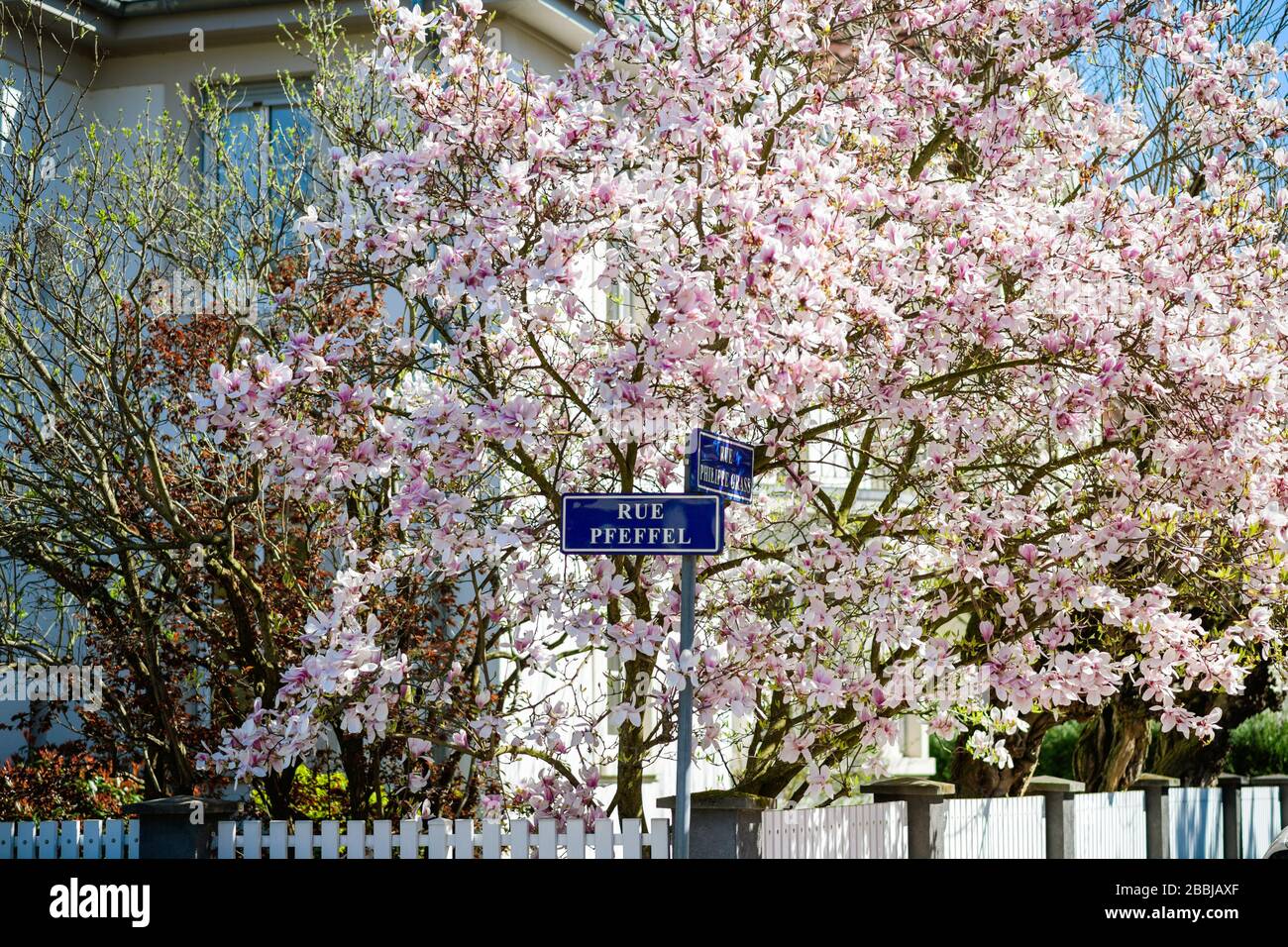Strasbourg street signs hi-res stock photography and images - Alamy
