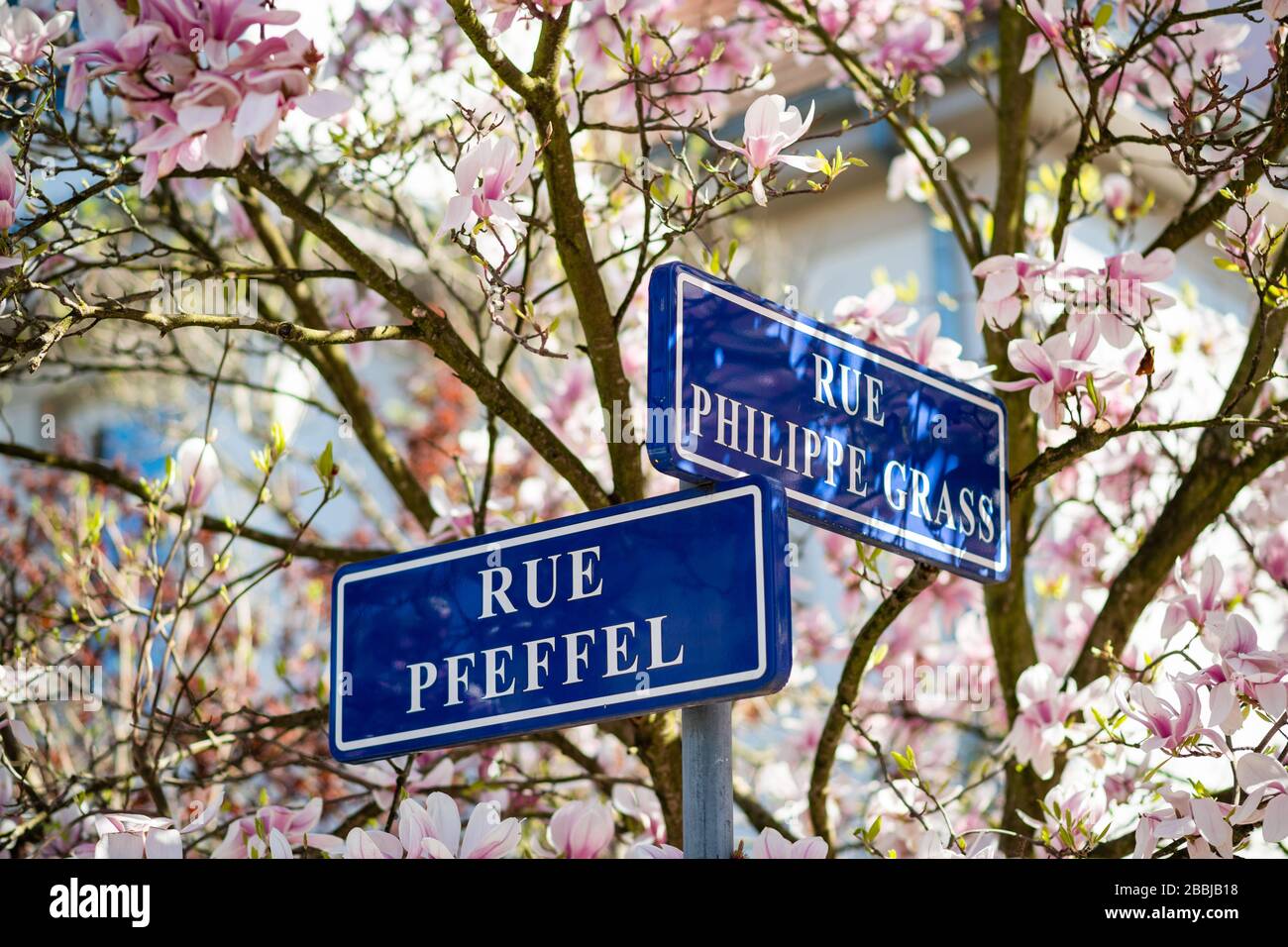 Strasbourg street signs hi-res stock photography and images - Alamy