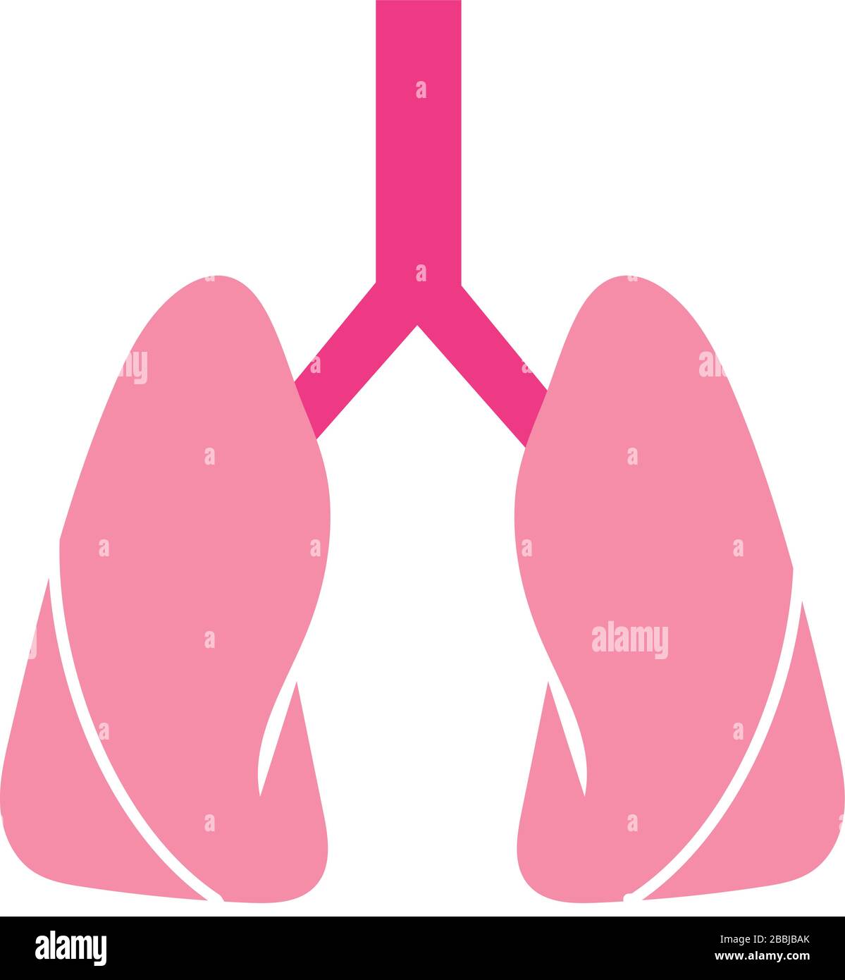 Flat morphology Stock Vector Images - Alamy