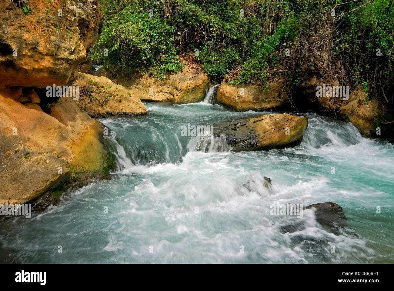 Banias stream in northern Israel Stock Photo - Alamy