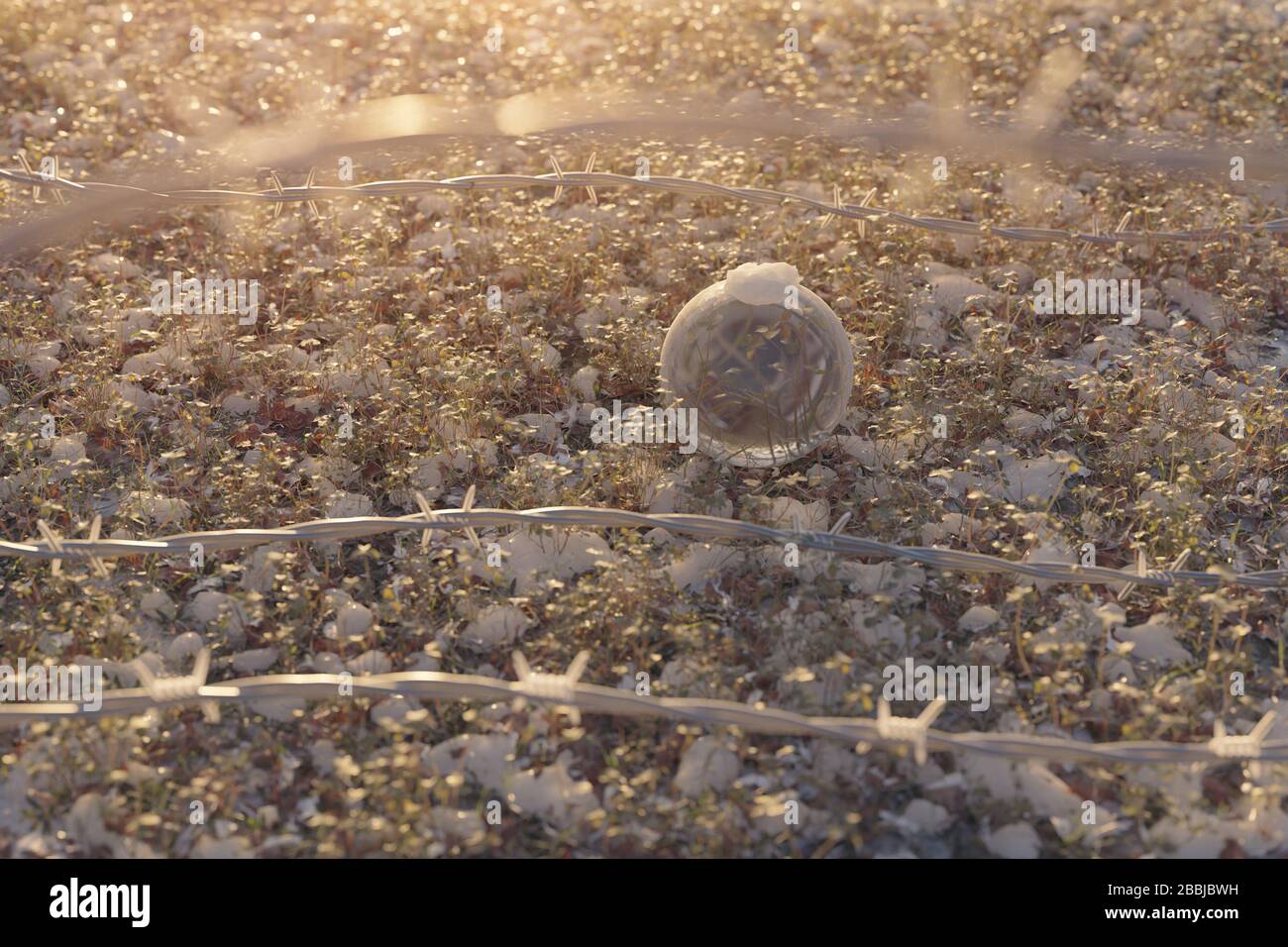 Shiny Barbed Wire High Resolution Stock Photography and Images - Alamy