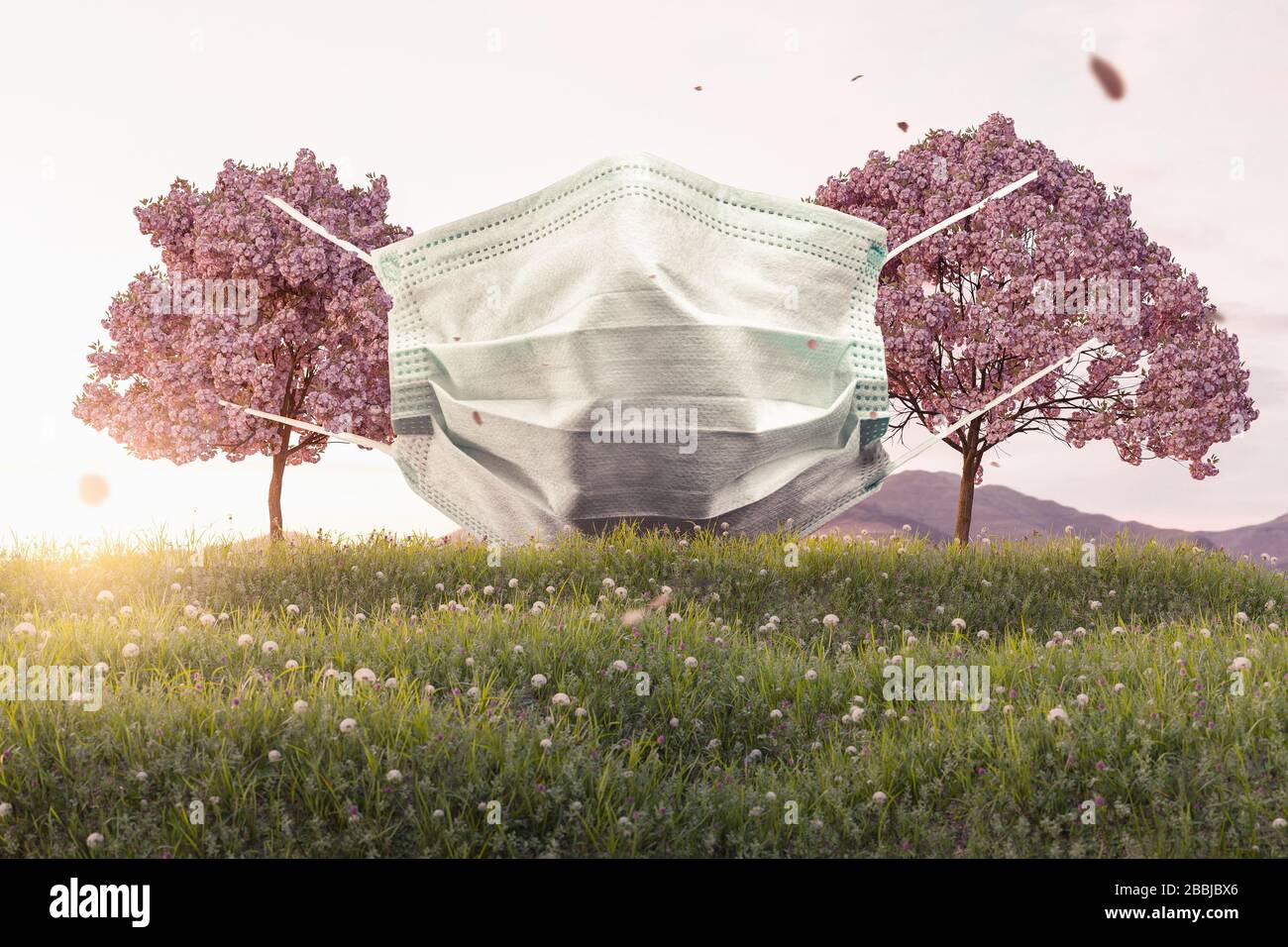 Japanese blossom corona hi-res stock photography and images - Alamy