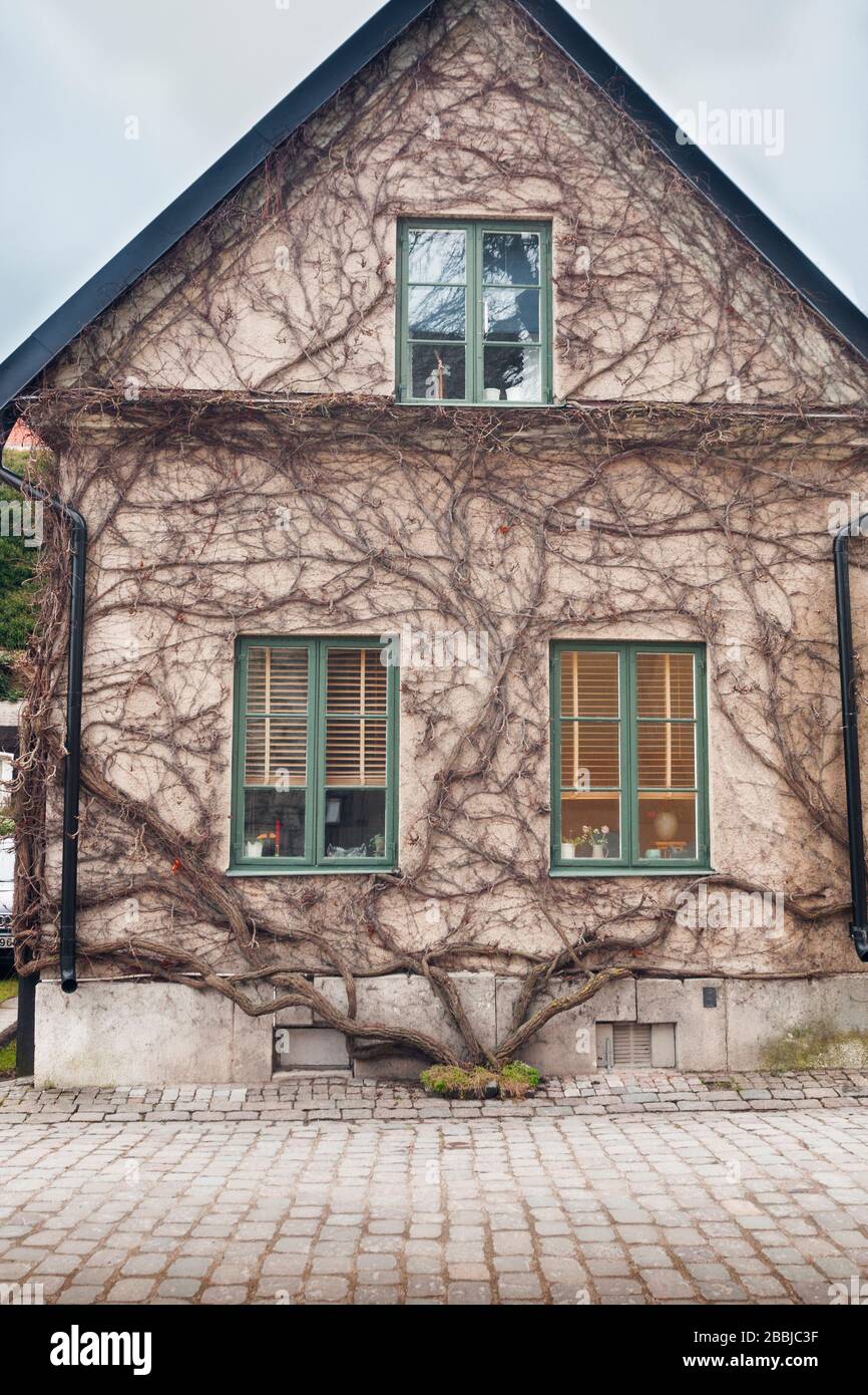 Creeping vines hi-res stock photography and images - Alamy