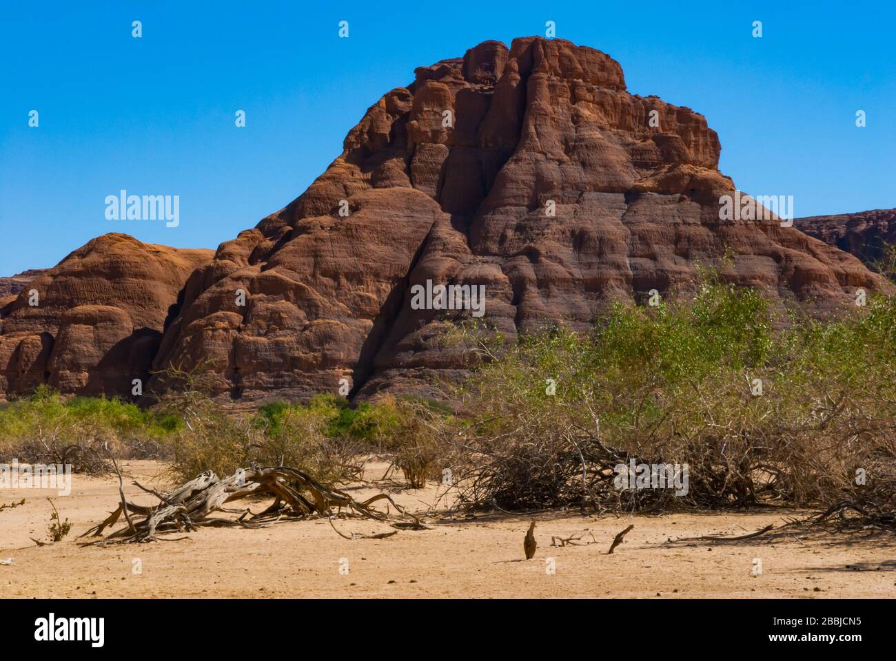 Natural rock formations and dry trees, Chad, Africa Stock Photo - Alamy