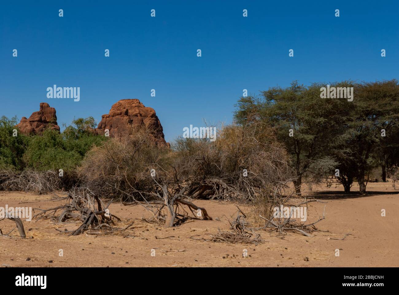 Natural rock formations and dry trees, Chad, Africa Stock Photo - Alamy