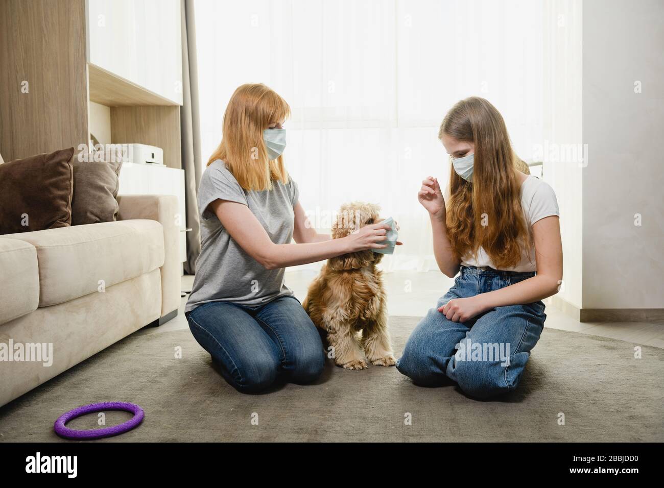 Two females at home during isolation period try to protect lovely pet ...