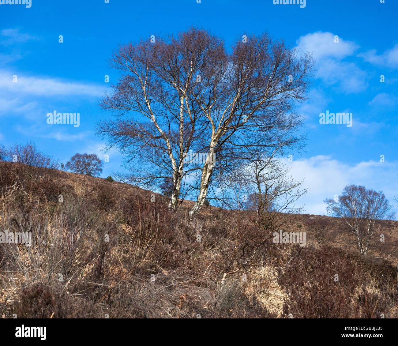 Walk at Jugger Howe North York Moors Stock Photo - Alamy