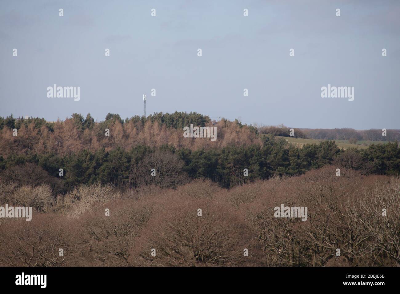 Jugger hi-res stock photography and images - Alamy
