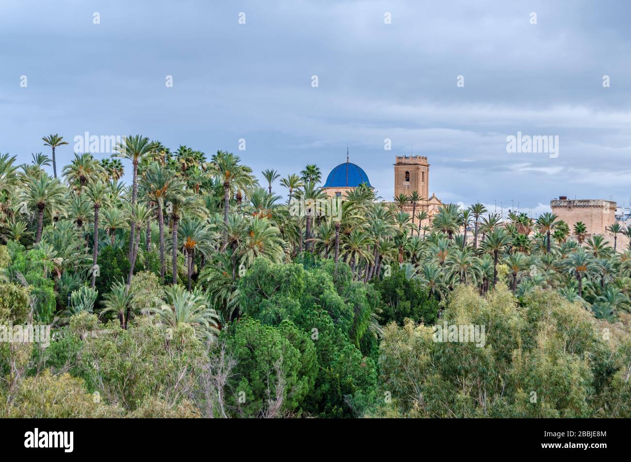 View of the city of Elche, Alicante province, Spain, showing the palm ...
