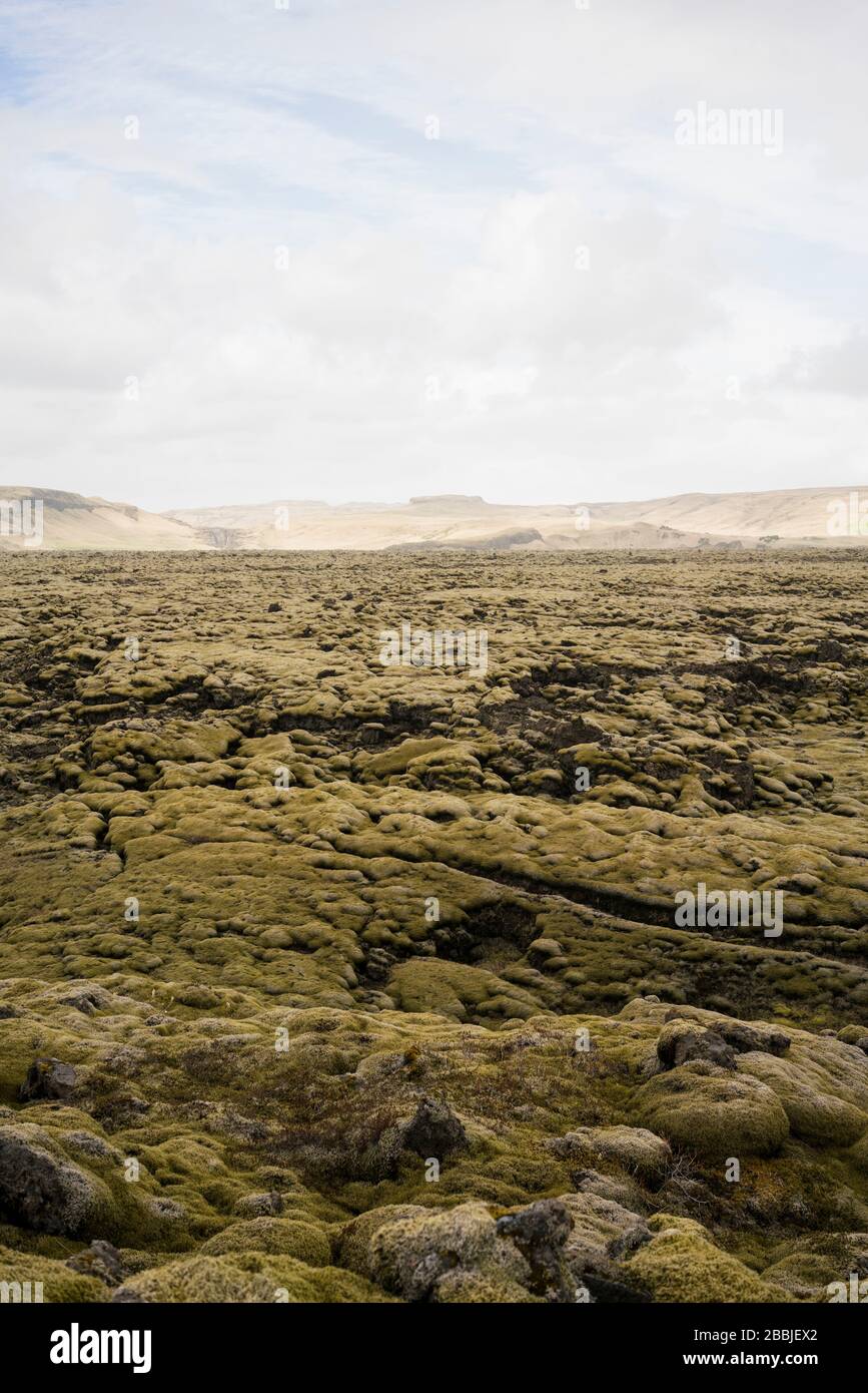moss covered lava rocks in Eldrauhn, Iceland Stock Photo - Alamy